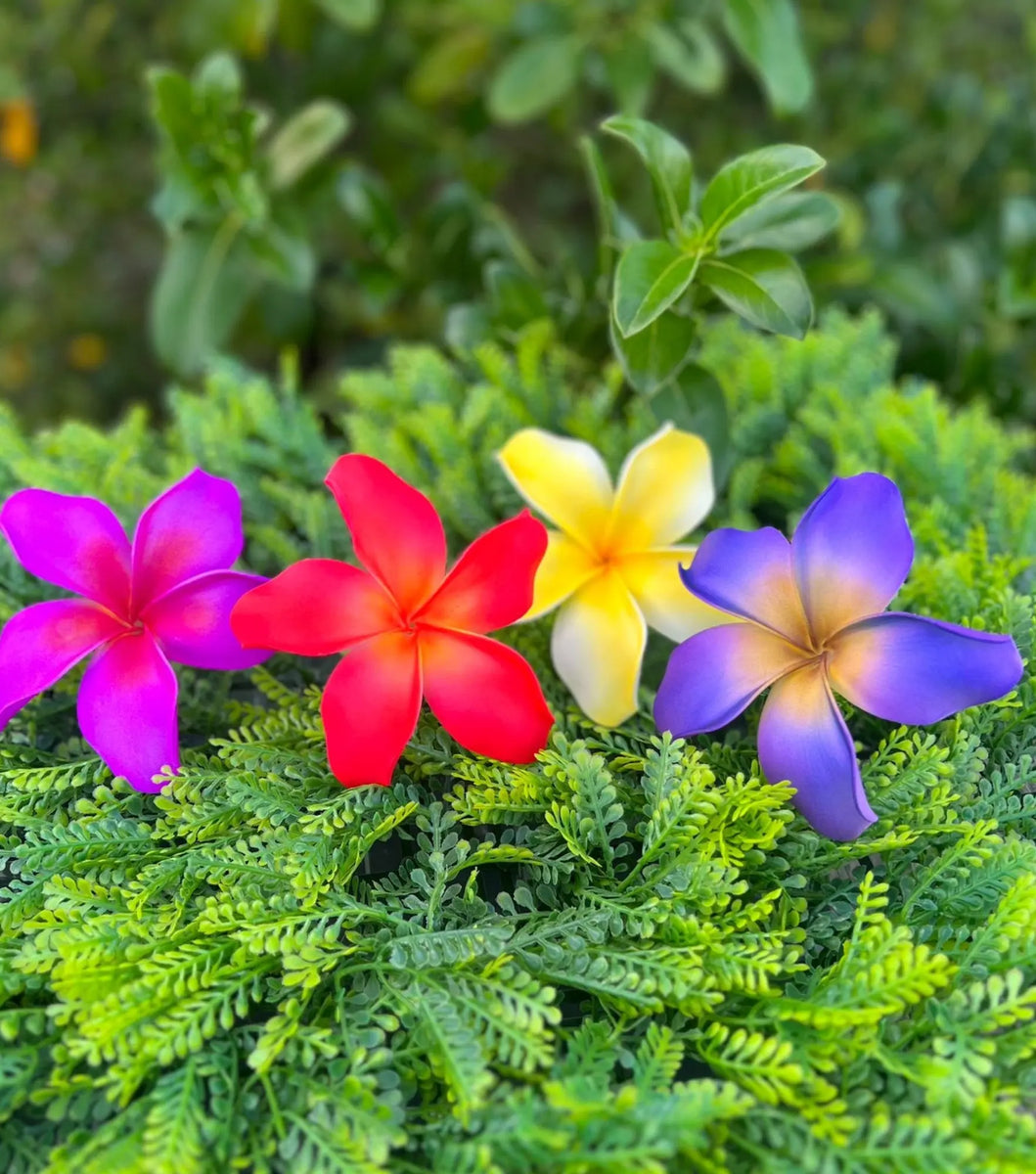 LALELEI Large Plumeria - Loriana's | Pasifika Boutique & Treasures